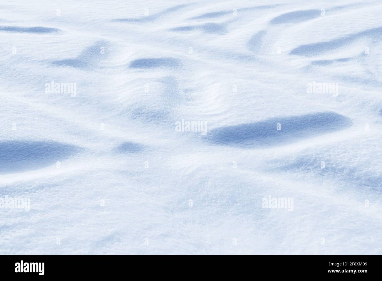 Fresh clean white snow background texture. Winter background with ...