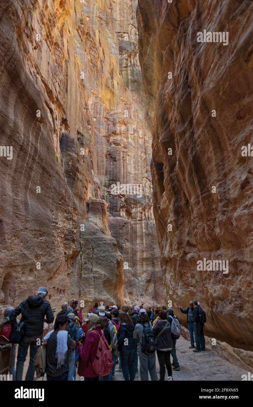 Columnar section hi-res stock photography and images - Alamy