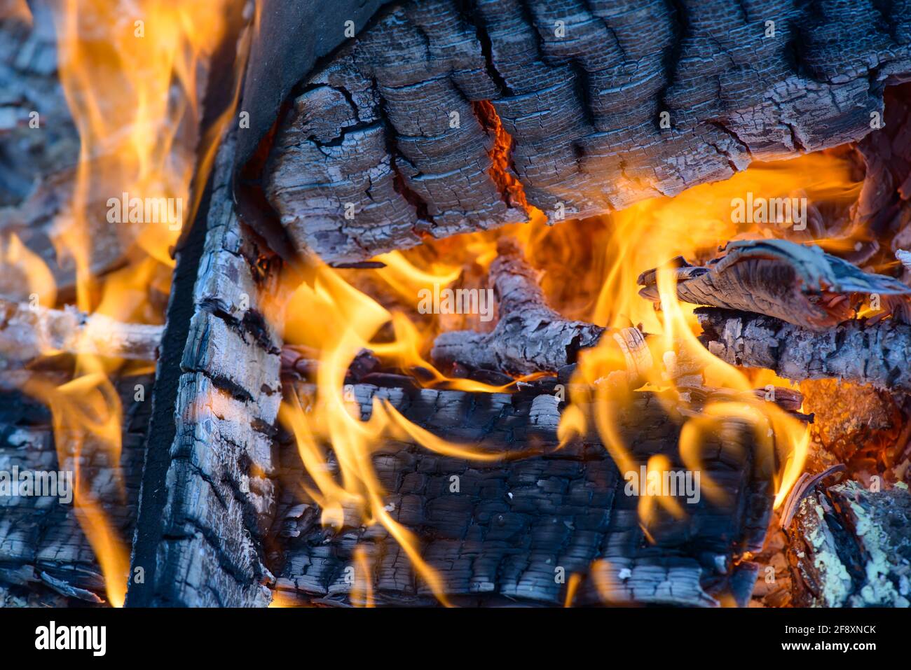 Spurts of flame. Burning wooden boards and logs. The bright flame of ...