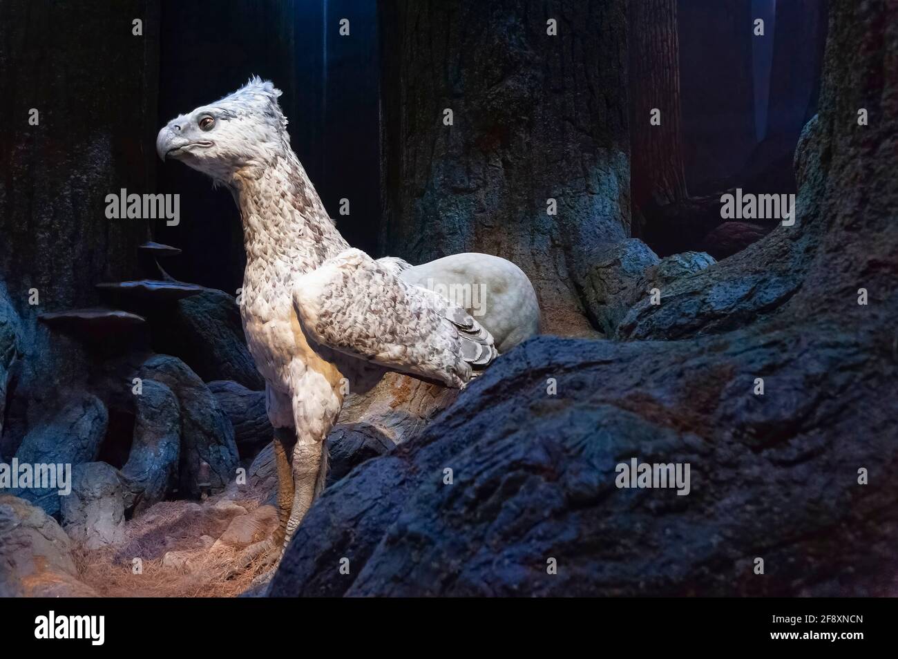 Buckbeak the Hippogriff. Film Set at The Making of Harry Potter Studio ...
