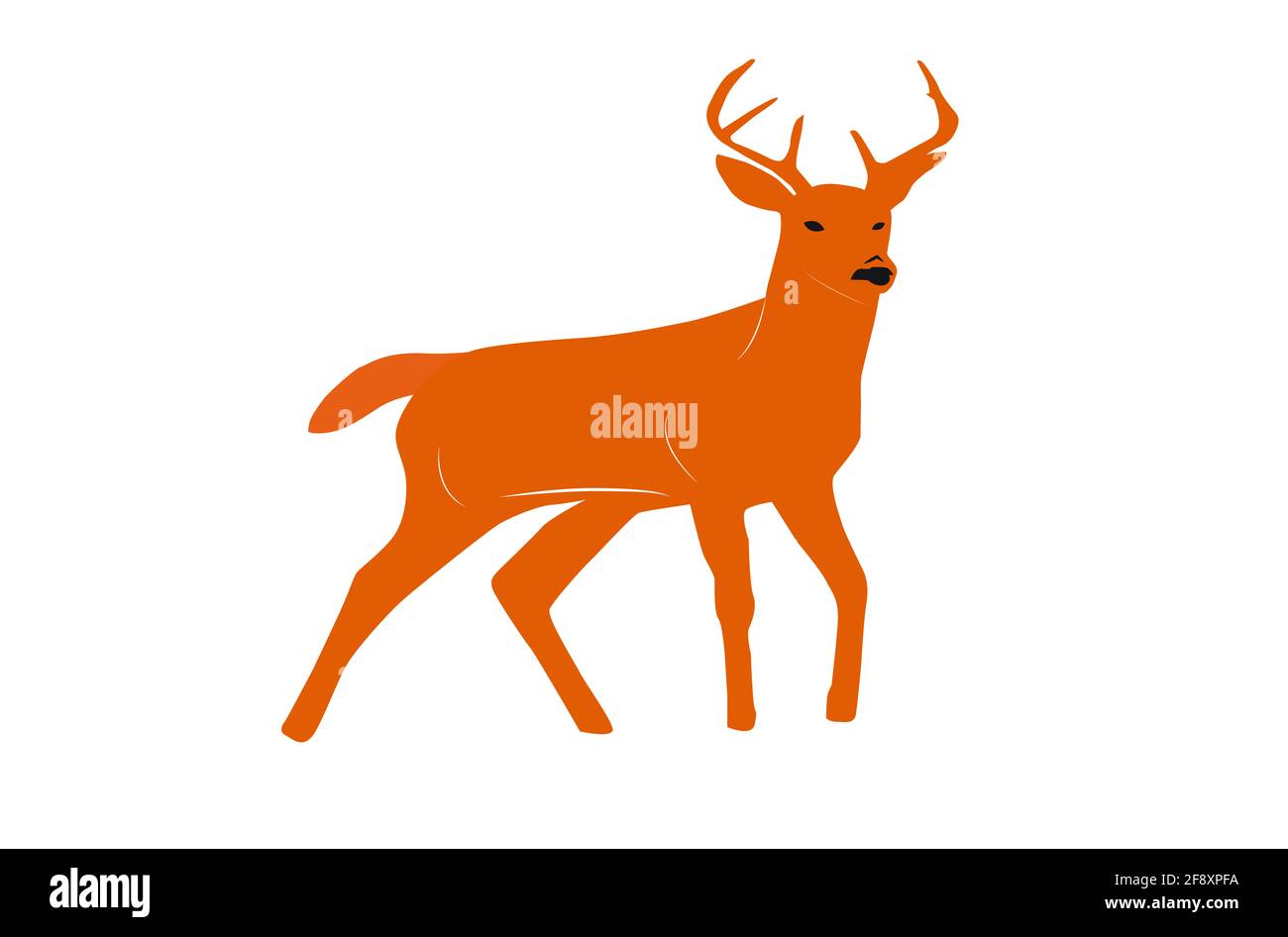 Old animal zoo Cut Out Stock Images & Pictures - Alamy