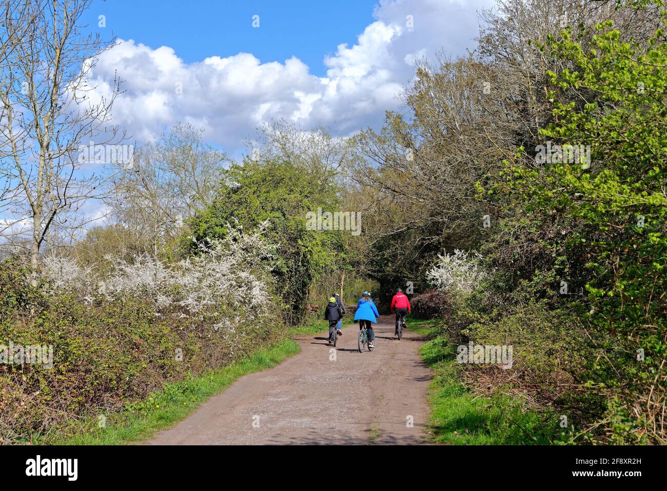 Walton on thames countryside hi-res stock photography and images - Alamy