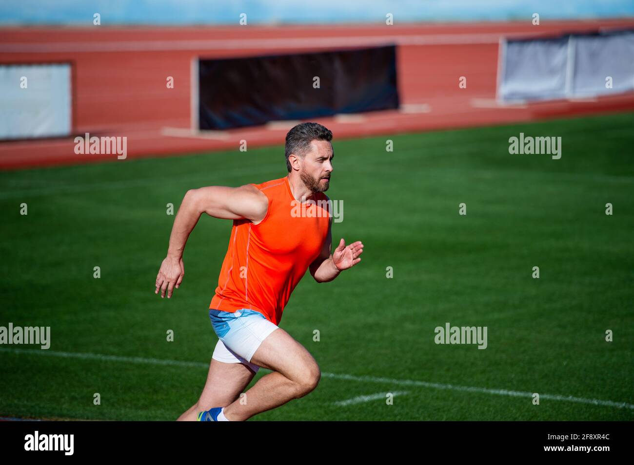 energetic athletic muscular man runner running outdoor on green grass ...