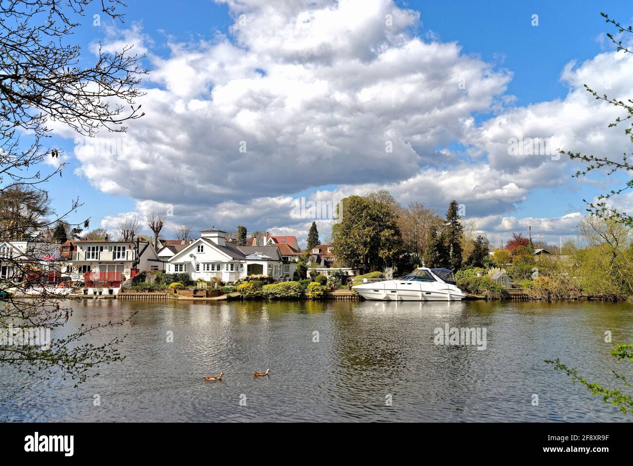 Sunbury Court Island viewed from the Walton side of the River Thames on ...