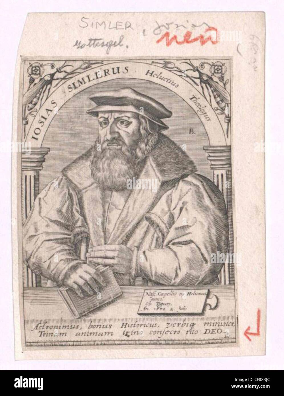 Simler High Resolution Stock Photography and Images - Alamy