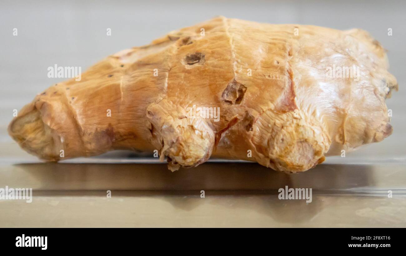 Cape Town, South Africa - 06-04-2021 Close up of healthy piece of ...