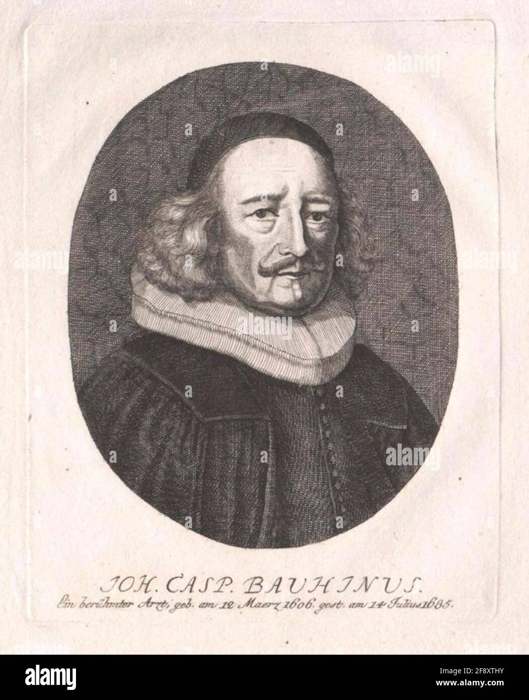 Johann bauhin hi-res stock photography and images - Alamy