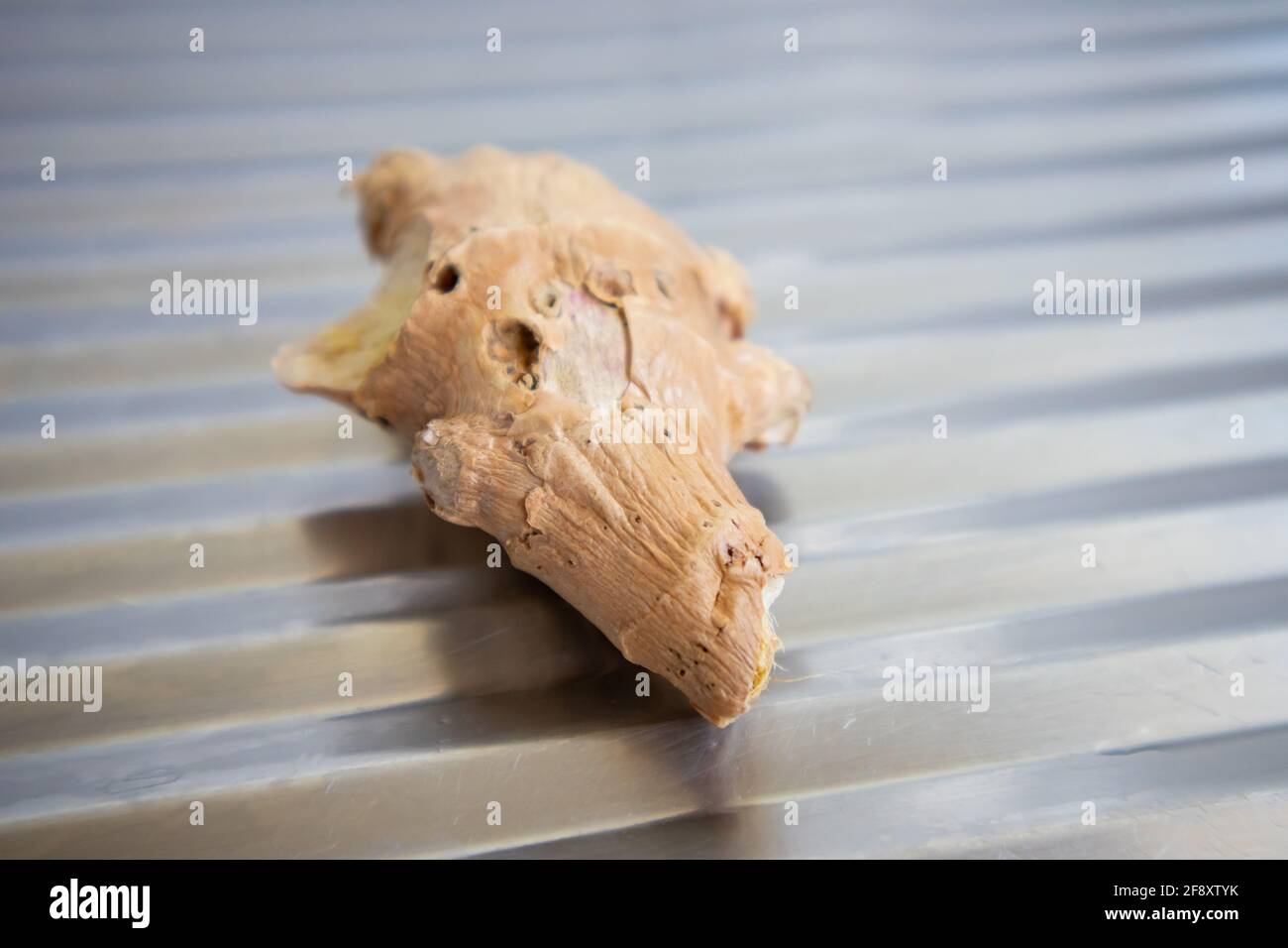 Cape Town, South Africa - 06-04-2021 Close up of healthy piece of ...