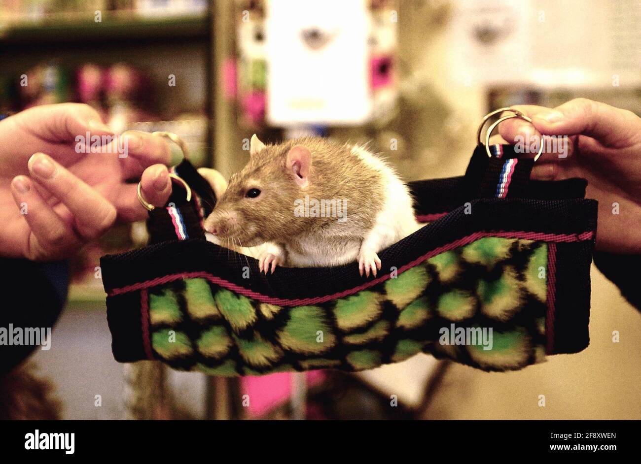 Snuggles down hi-res stock photography and images - Alamy