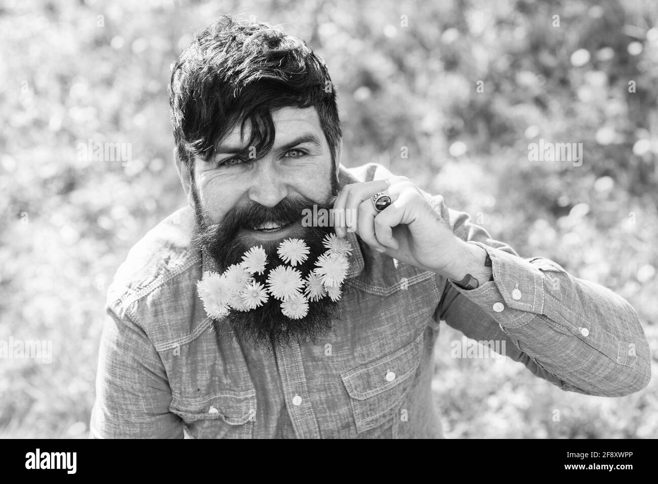 dandelion. barber and hairdresser. Floral fashion and beauty. bearded ...