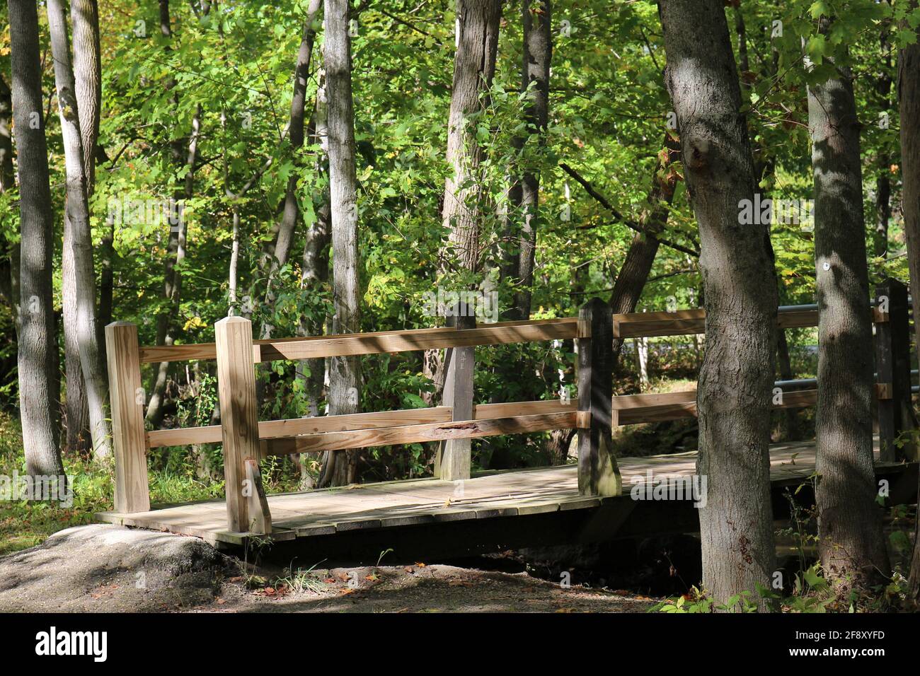 A wood bridge crossing a creek in a forest at Petrifying Springs Park ...