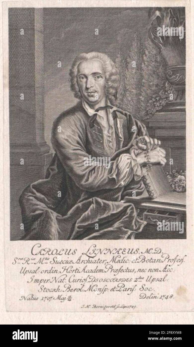 Linné, Charles of Stecher: Bernigeroth, Johann Martin Stock Photo - Alamy