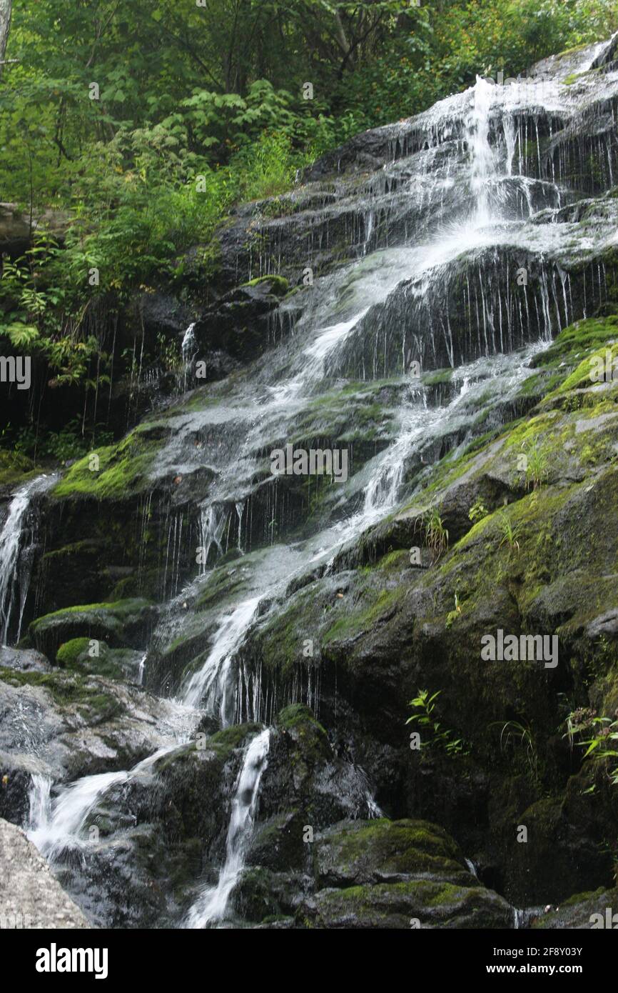 Beautiful fresh creek water cascading over rocks. Section of the ...