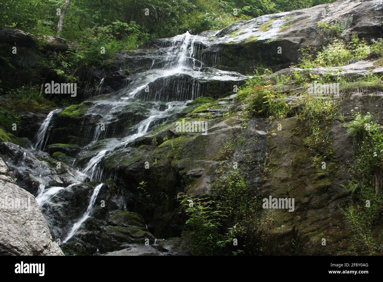 Beautiful fresh creek water cascading over rocks. Section of the ...