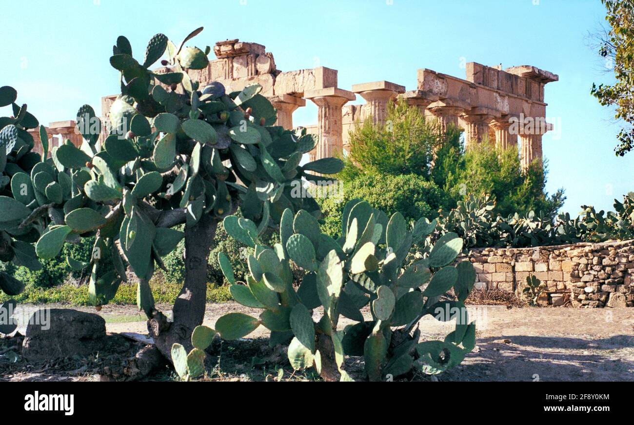 Selinunte.Temple E, also called the Temple of Hera Stock Photo - Alamy