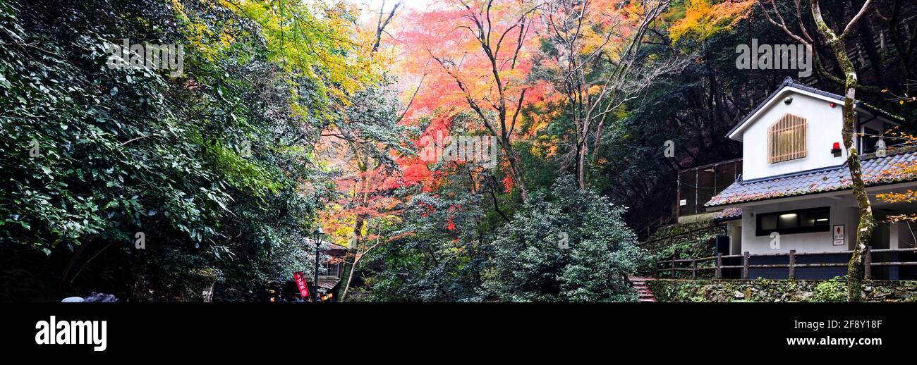 Trees in autumn colors and Japanese architecture, Minoh Falls Pathway ...