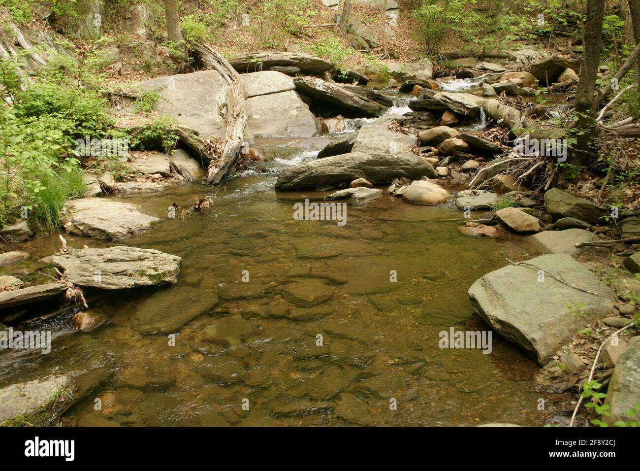 Rocky Row Run, creek in the Blue Ridge Mountains, VA, USA Stock Photo ...