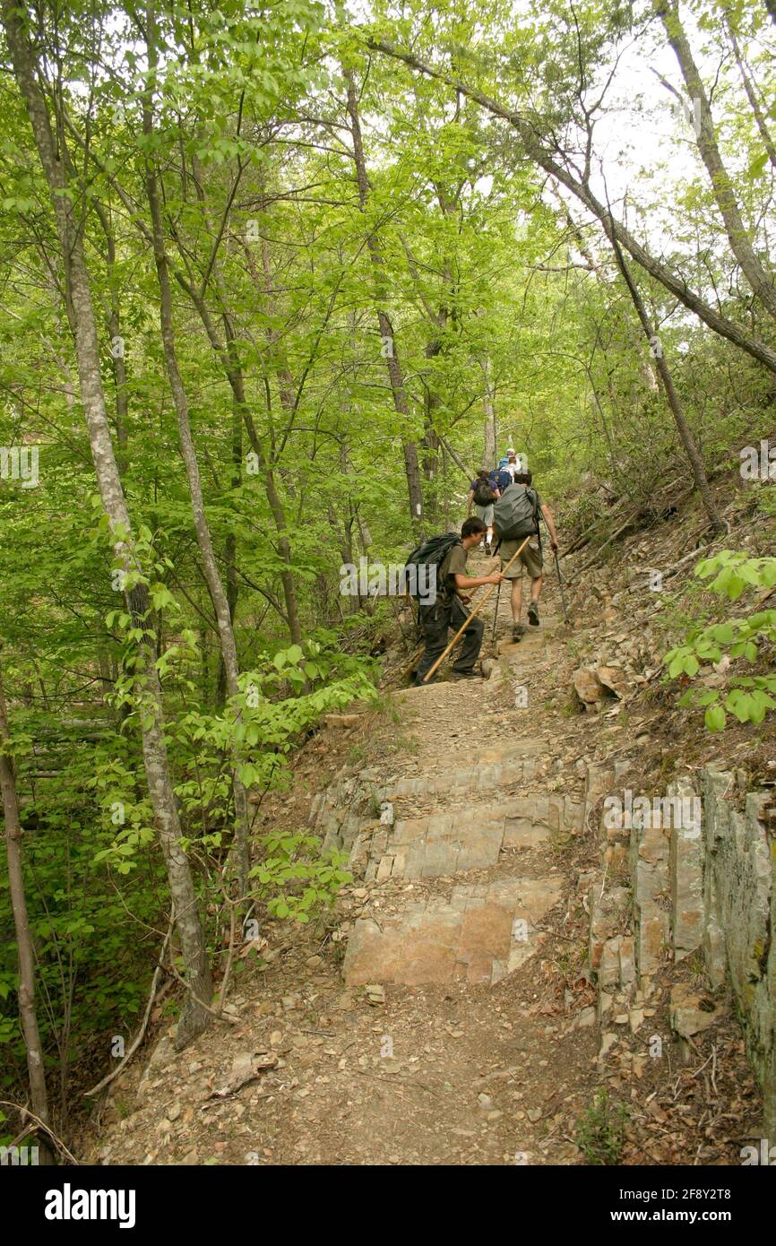 People hiking the Appalachian trail in Virginia, USA Stock Photo - Alamy