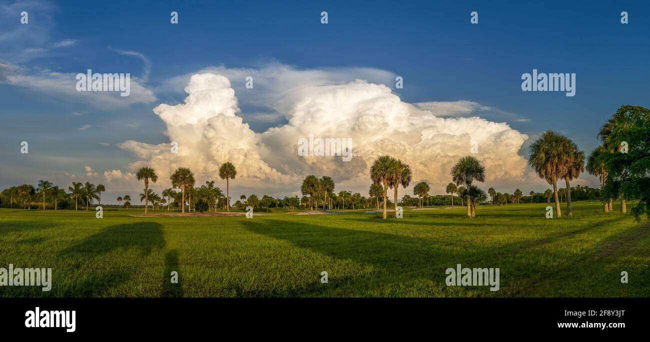 Florida scenery hi-res stock photography and images - Alamy