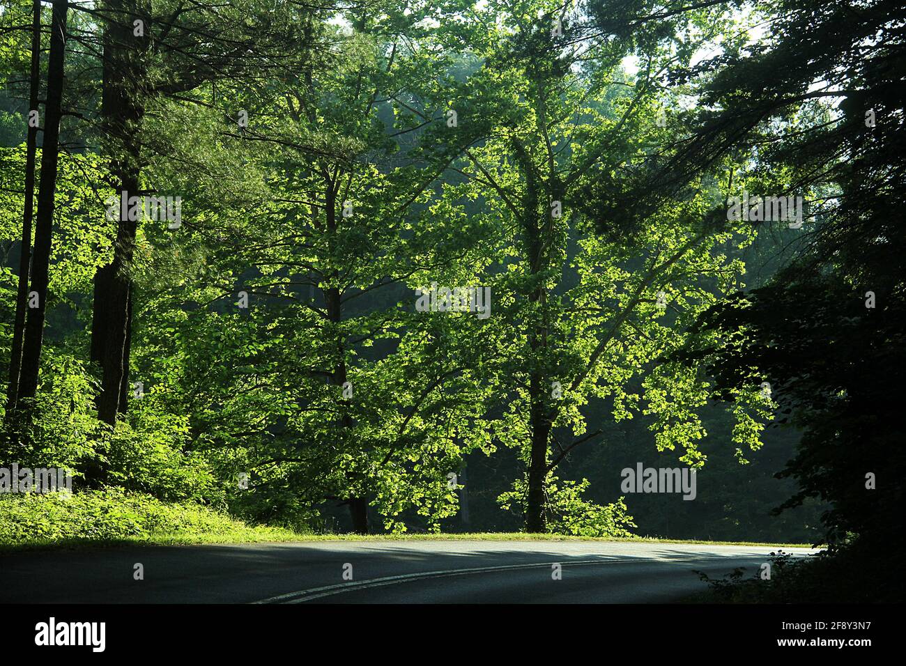 Driving on Blue Ridge Parkway, VA, USA, in summertime Stock Photo - Alamy
