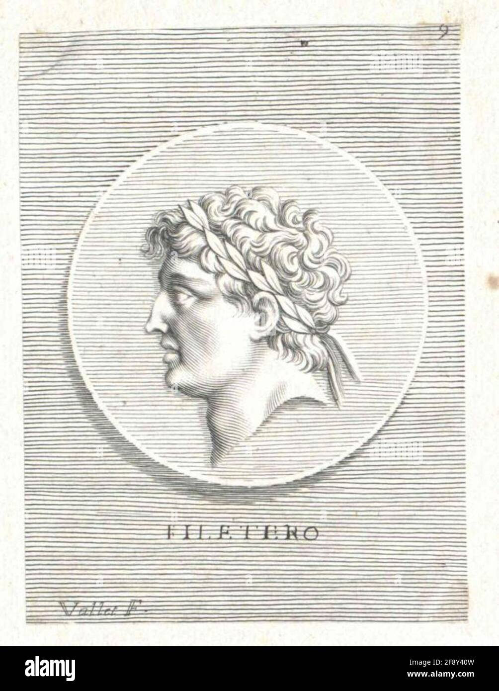 Philetairos hi-res stock photography and images - Alamy