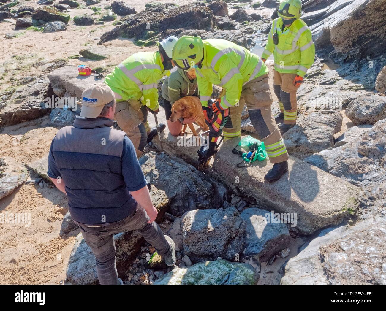 Newquay, Cornwall, A Dramatic rising tide dog rescue. The "Jaws of Life ...