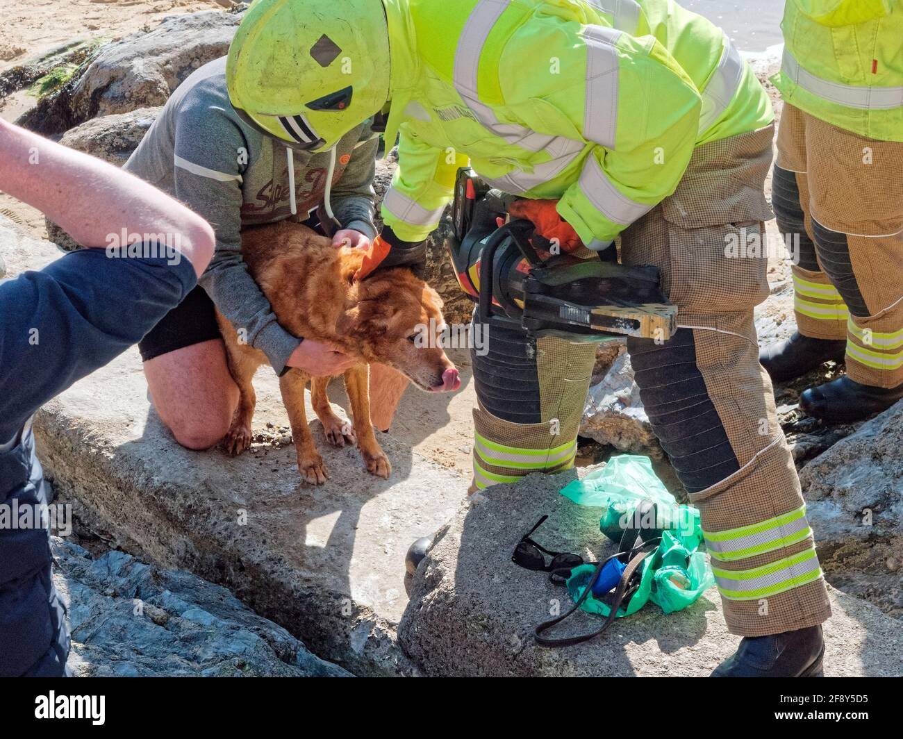 Newquay, Cornwall, A Dramatic rising tide dog rescue. The "Jaws of Life ...