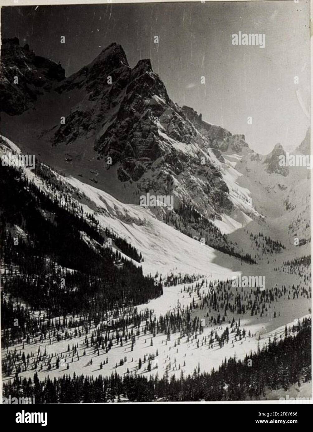 Panorama: View from the artillery - observer stand on Altstein ...