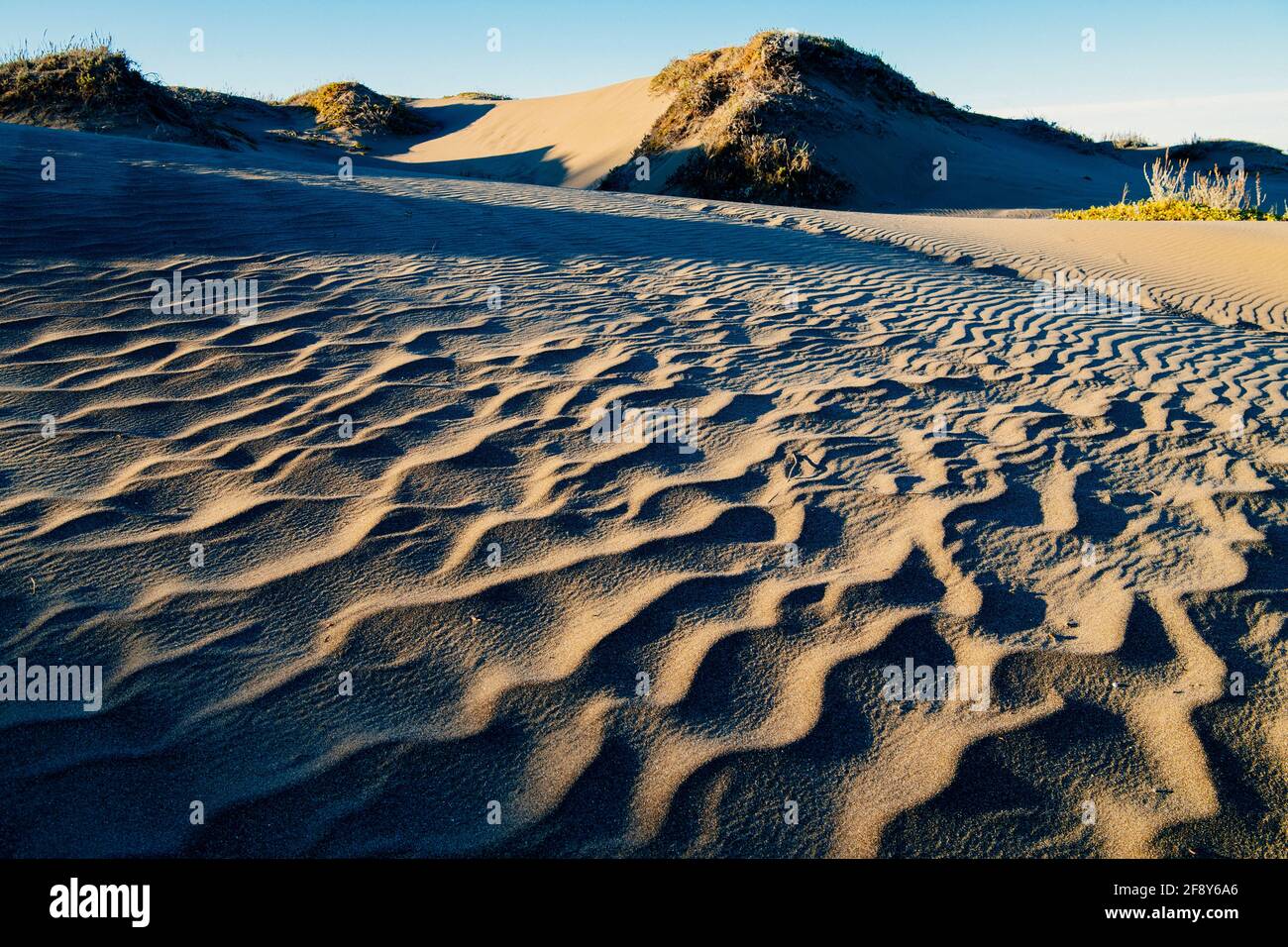 Sandy beach, Fort Bragg, California, USA Stock Photo - Alamy