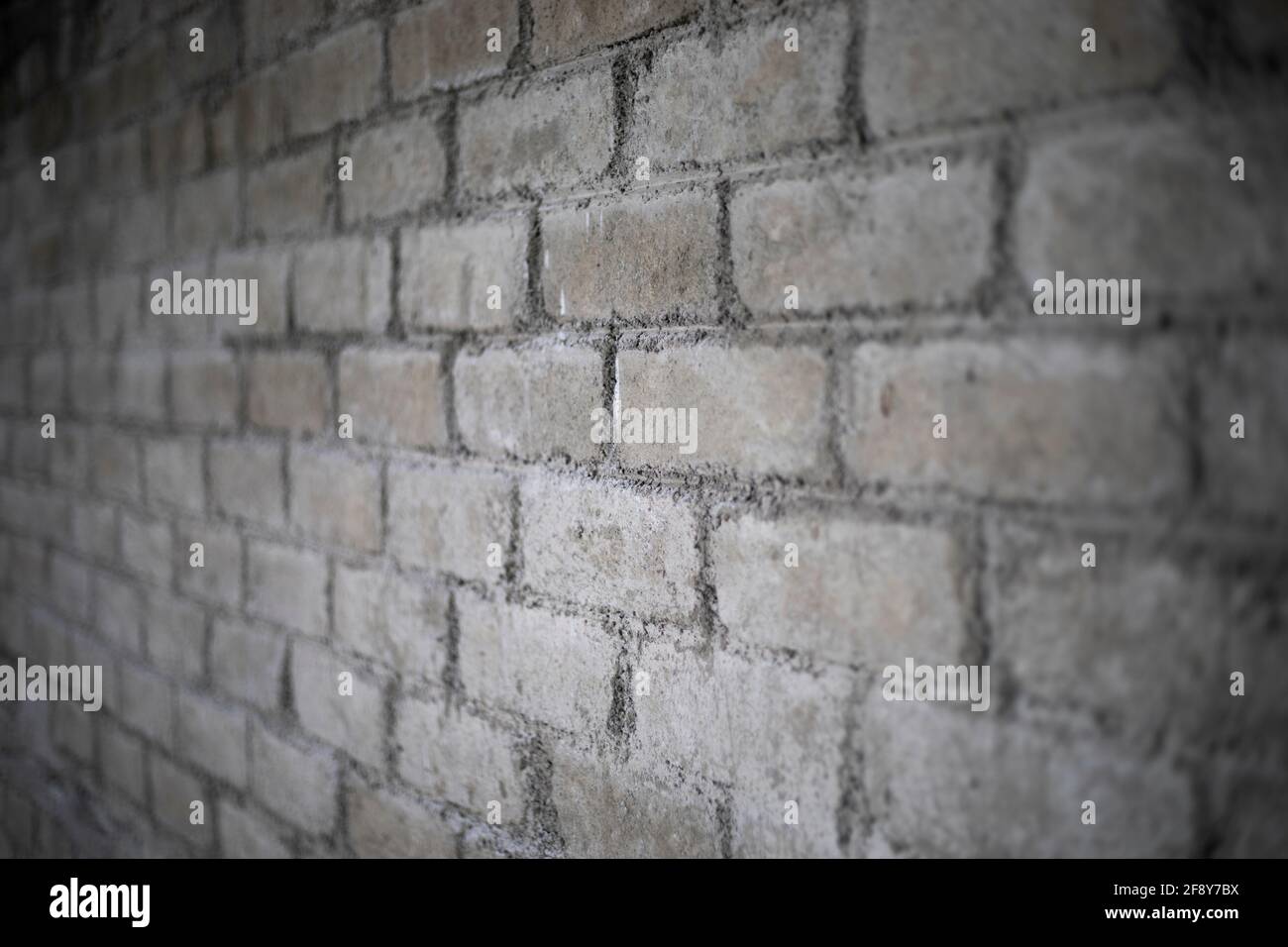 Concrete cement lines texture hi-res stock photography and images - Alamy