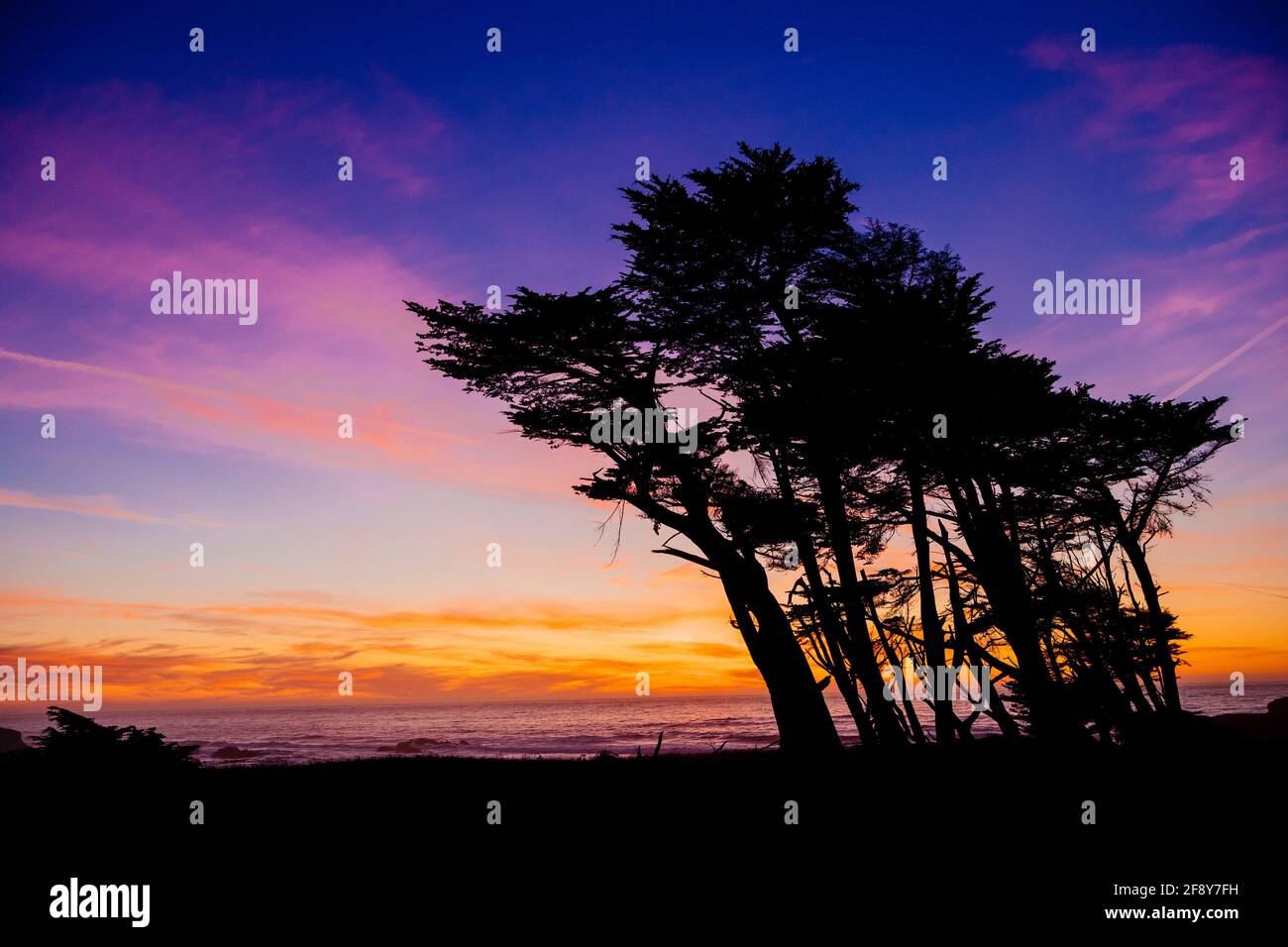 Sunset and tree landscape with nature and sun hi-res stock photography ...