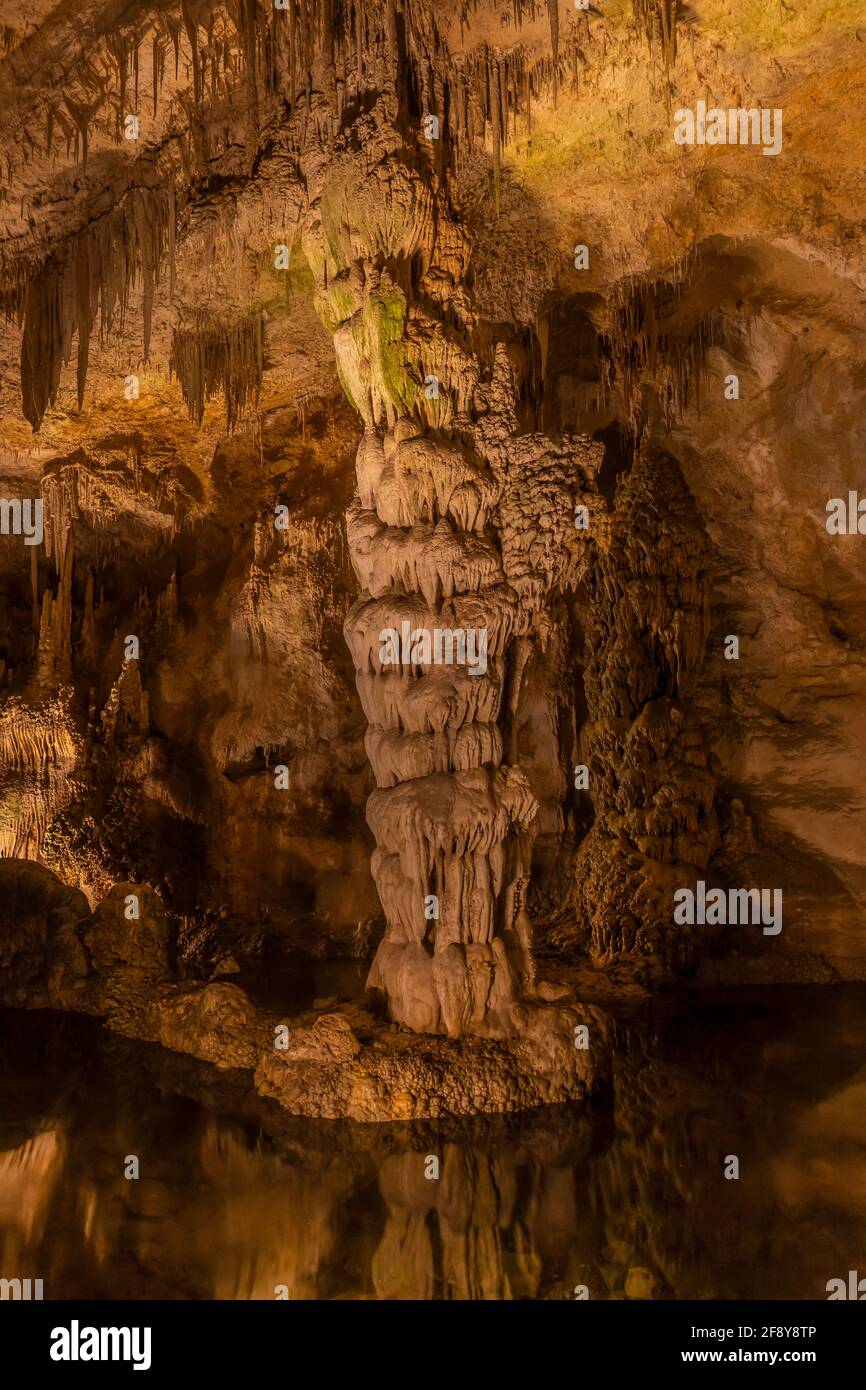 Column and Devils Spring along Natural Entrance Trail deep underground ...