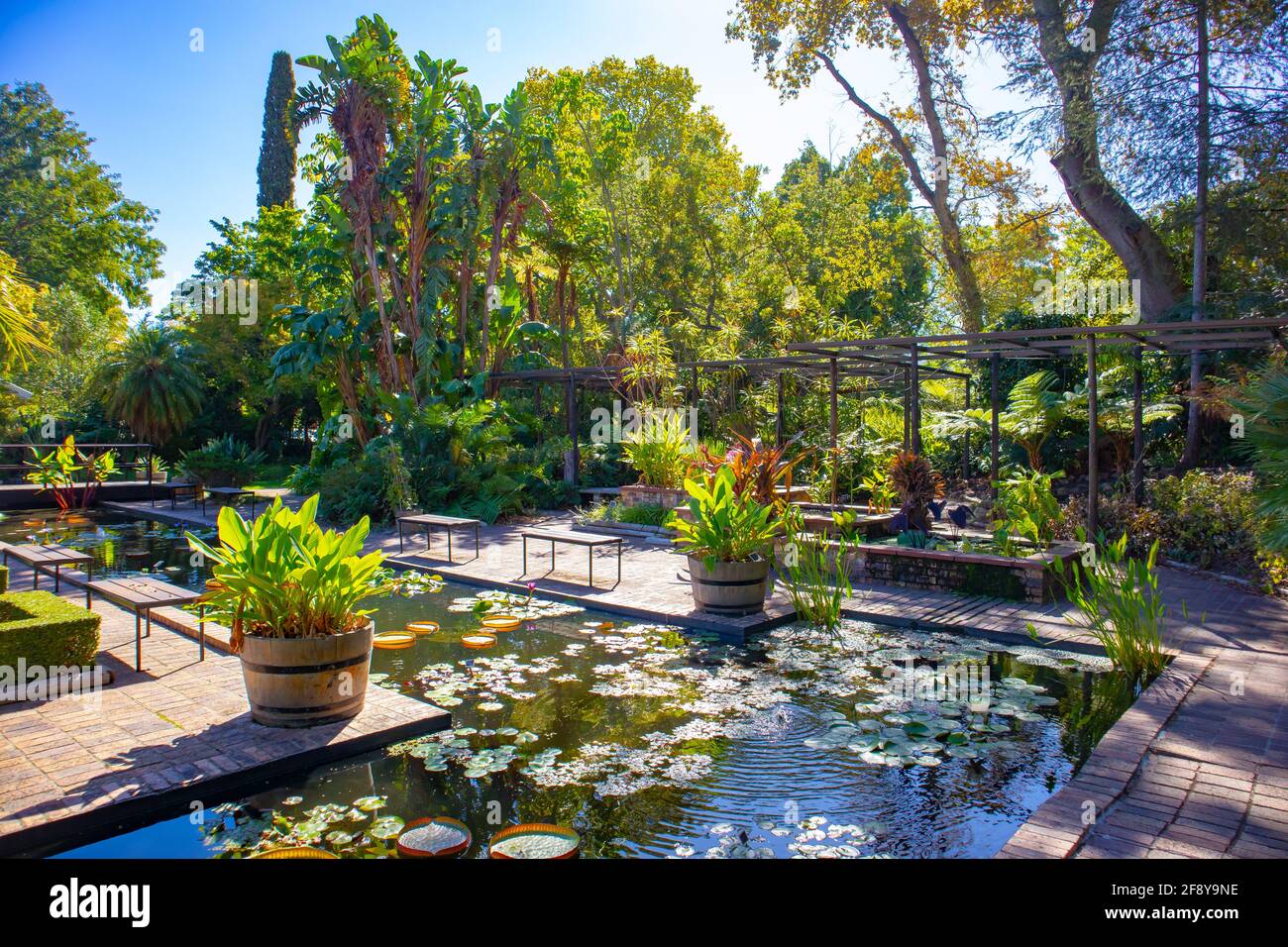 Stellenbosch University Botanical Garden, Cape Town, South Africa 08-04 ...