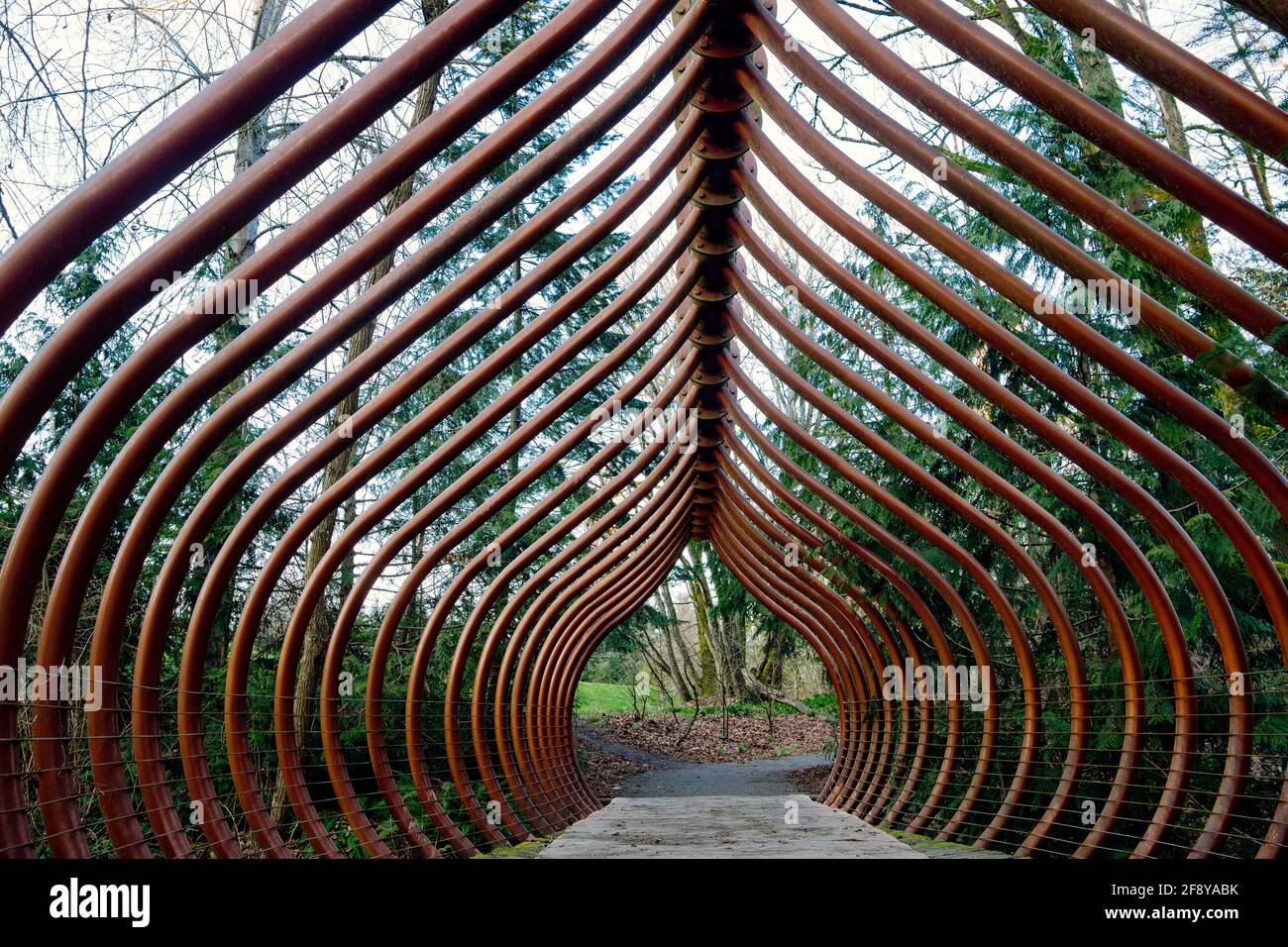 Salmon bone bridge hi-res stock photography and images - Alamy