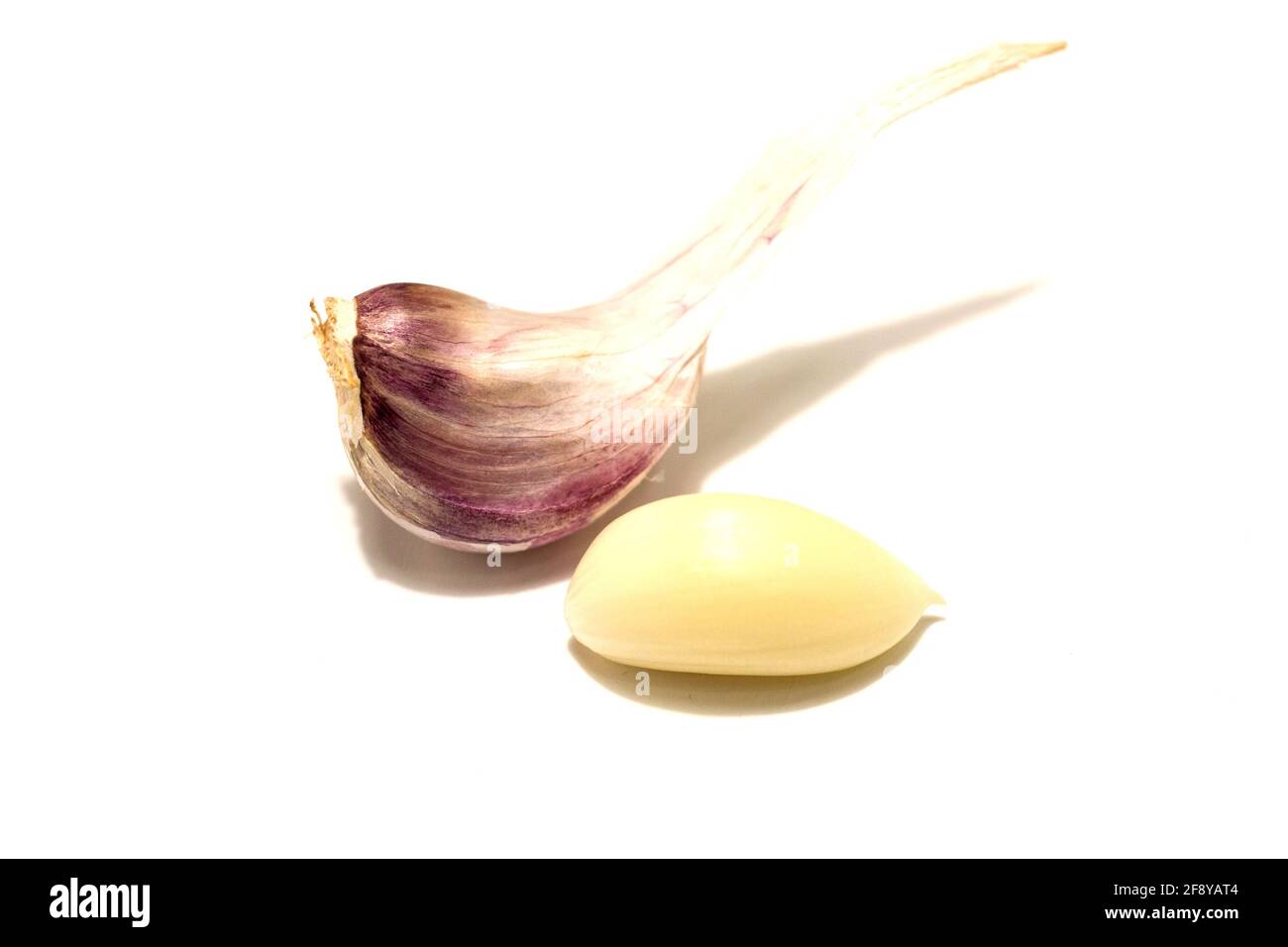 Two garlic bulb hi-res stock photography and images - Alamy