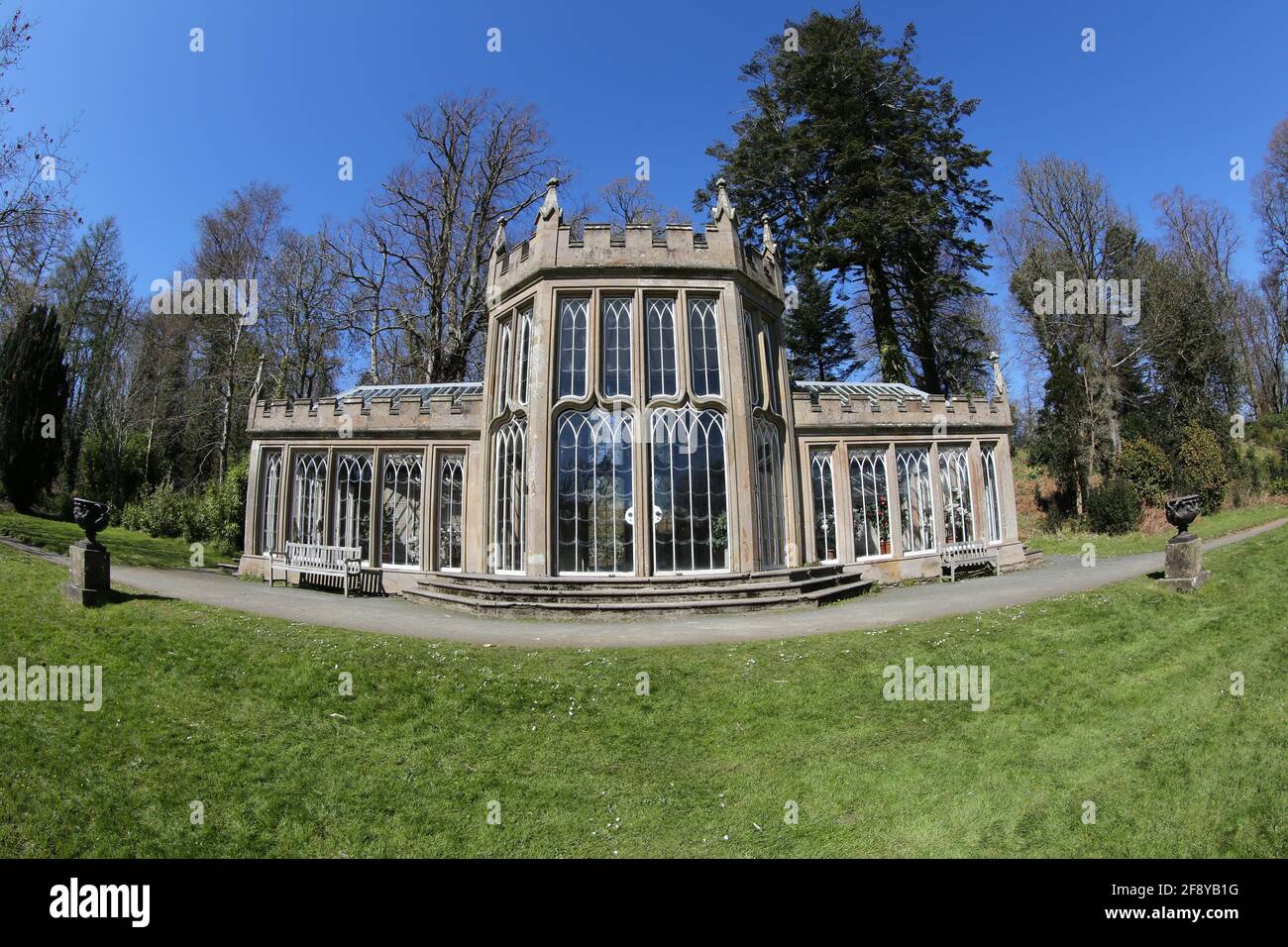 Scotland, Ayrshire,Culzean Castle& grounds 12 Apr 2021. The Camellia ...