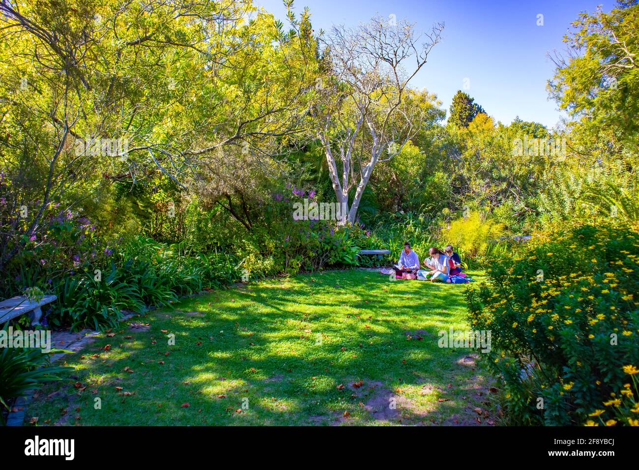 Stellenbosch University Botanical Garden, Cape Town, South Africa 08-04 ...
