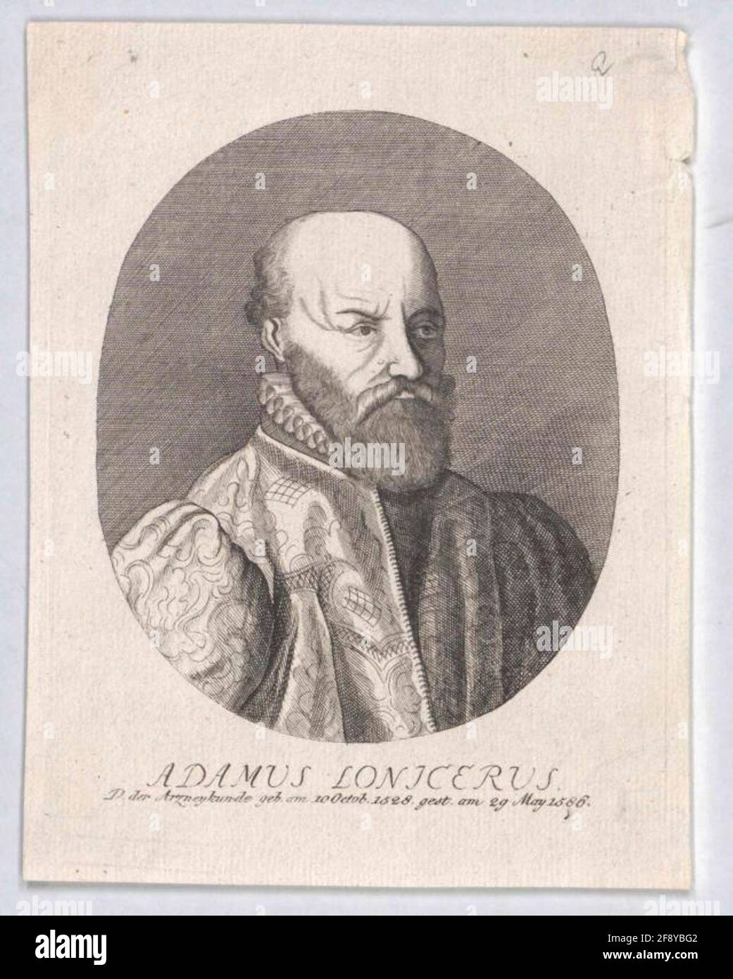 Adam lonicerus hi-res stock photography and images - Alamy