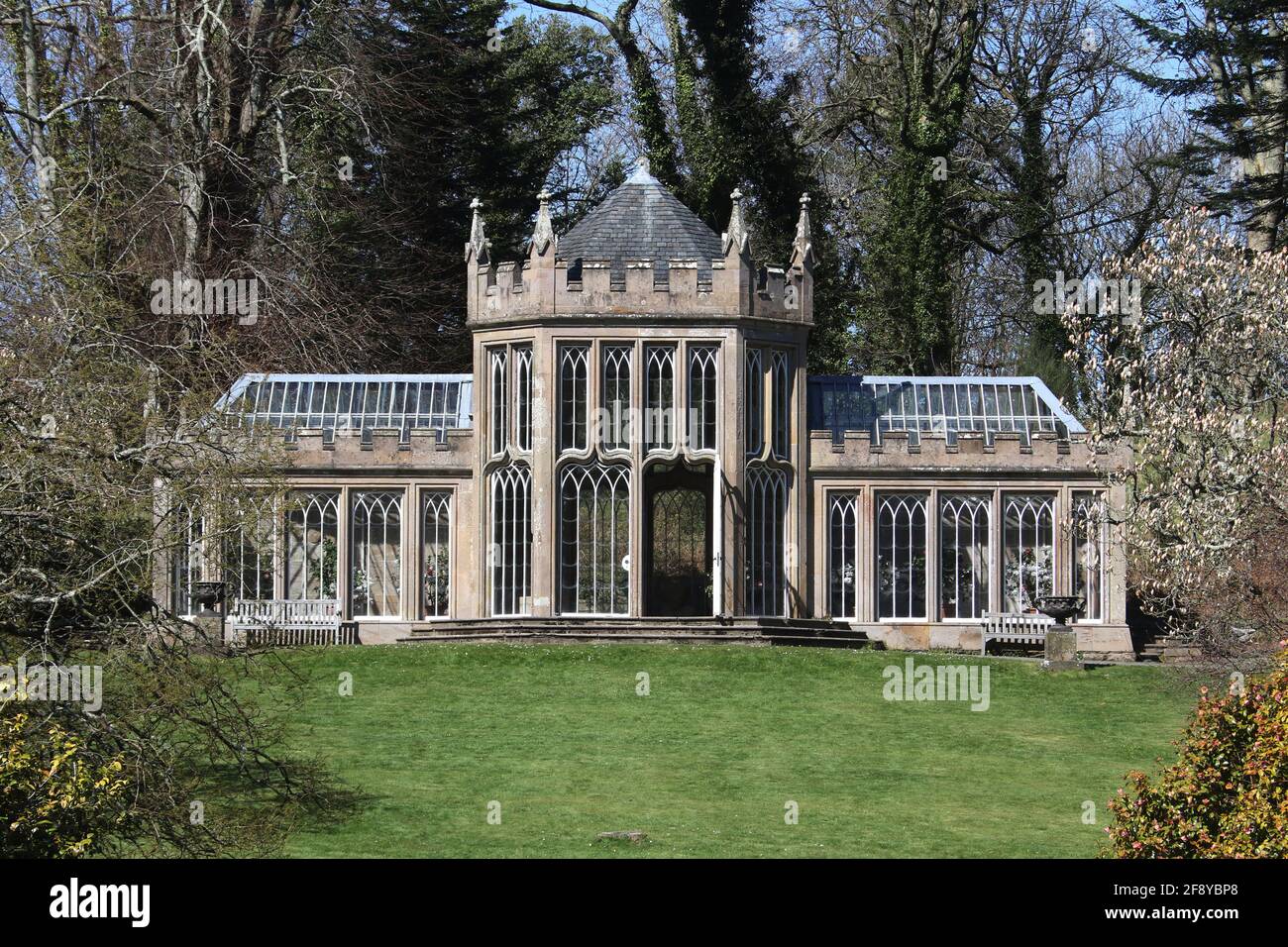 Scotland, Ayrshire,Culzean Castle& grounds 12 Apr 2021. The Camellia ...