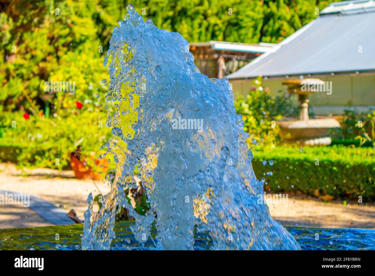 Stellenbosch University Botanical Garden, Cape Town, South Africa 08-04 ...