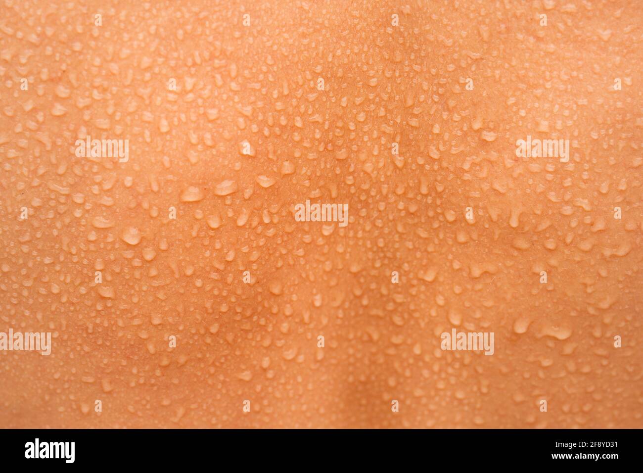 Water drops on the woman back skin. Human skin and sweat. Close up of ...