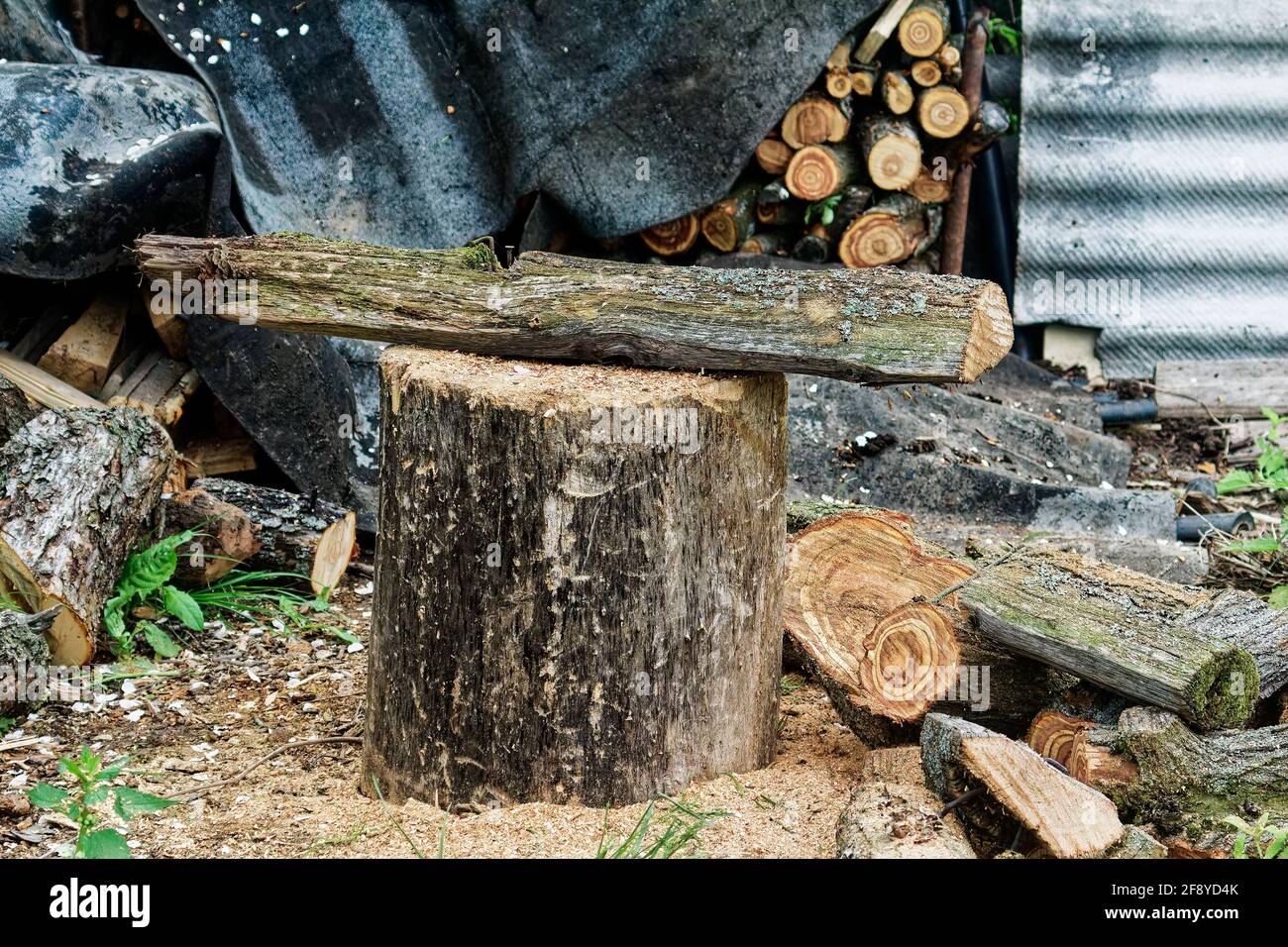chopped wood in the garden, spring Stock Photo - Alamy