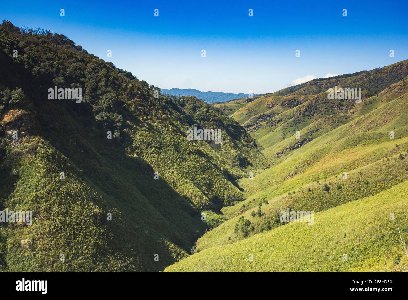 Dzukou valley in winter, Nagaland, India Stock Photo - Alamy