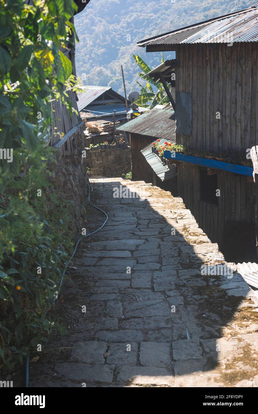 Khonoma village, Hornbill Festival, Nagaland, India Stock Photo - Alamy