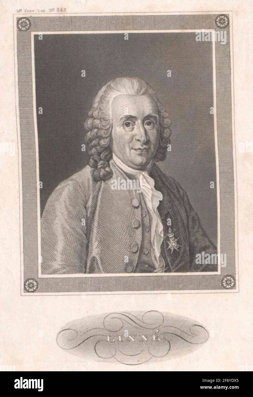 Charles linne hi-res stock photography and images - Alamy Charles linne hi-res stock photography and images - Alamy