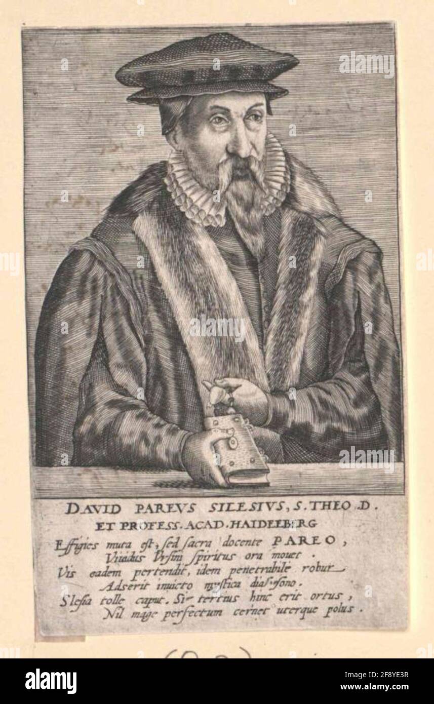 David pareus hi-res stock photography and images - Alamy