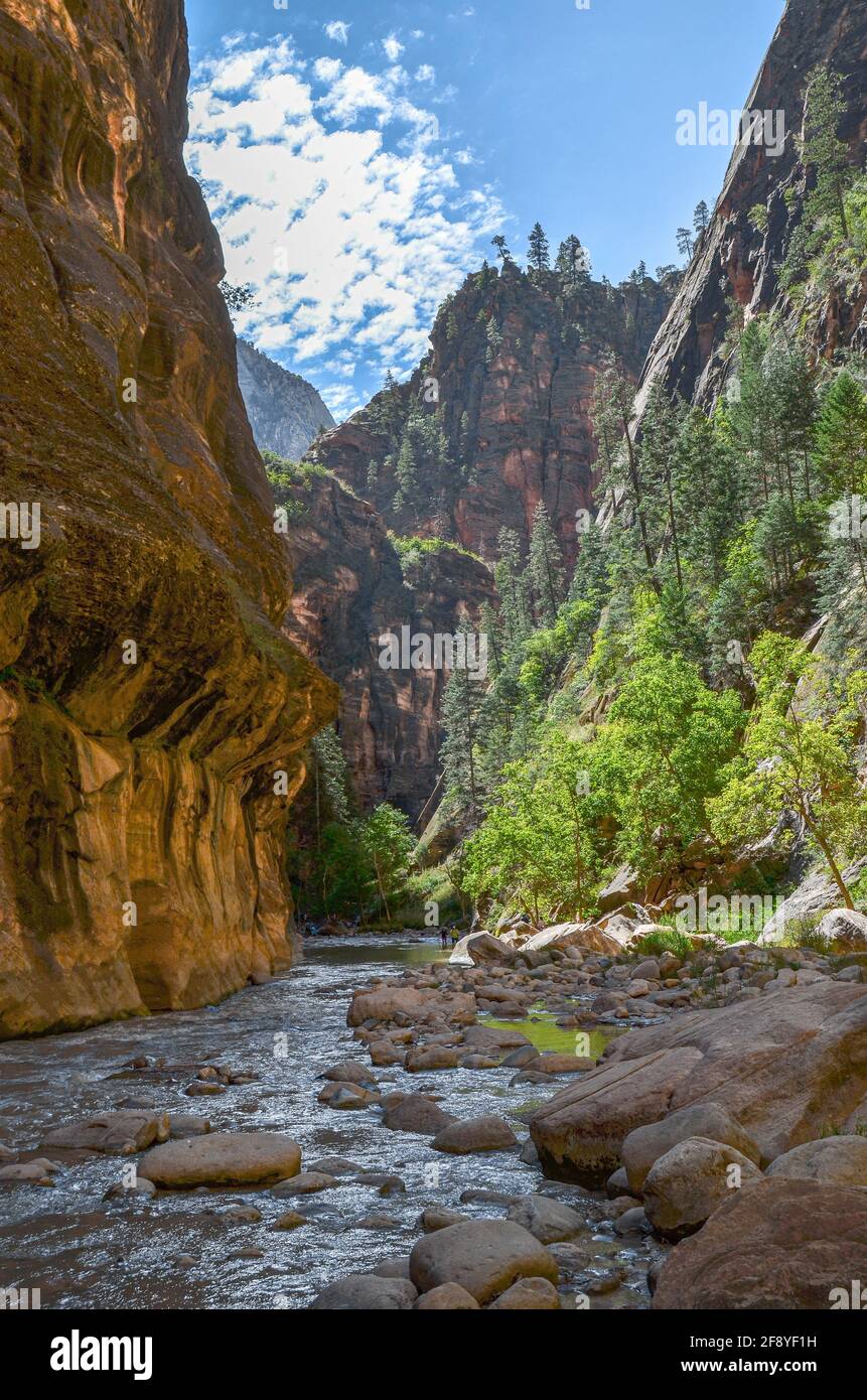 Beautiful scenery of the famous Zion National Park in Springdale, USA ...