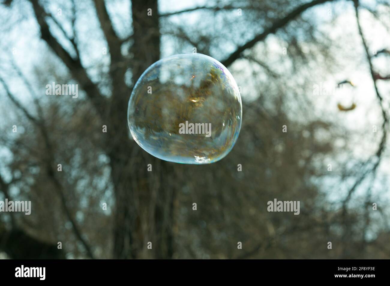 Bright big soap balls in the park. Children inflate soap bubbles and ...