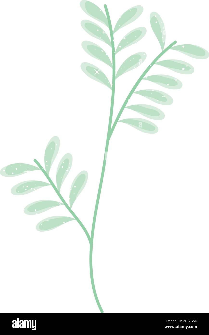 green stem with leaves design Stock Vector Image & Art - Alamy