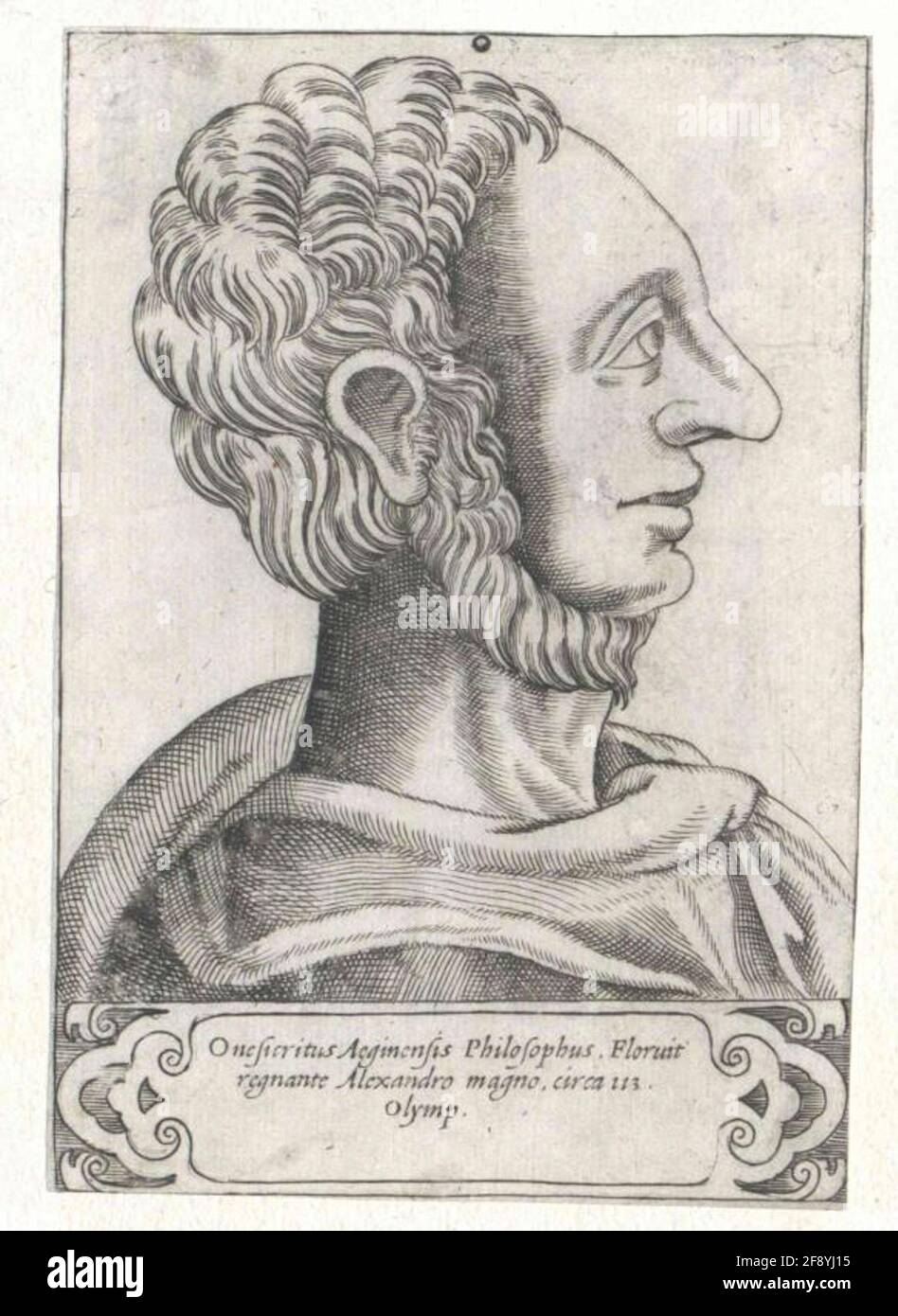 Brony hi-res stock photography and images - Alamy